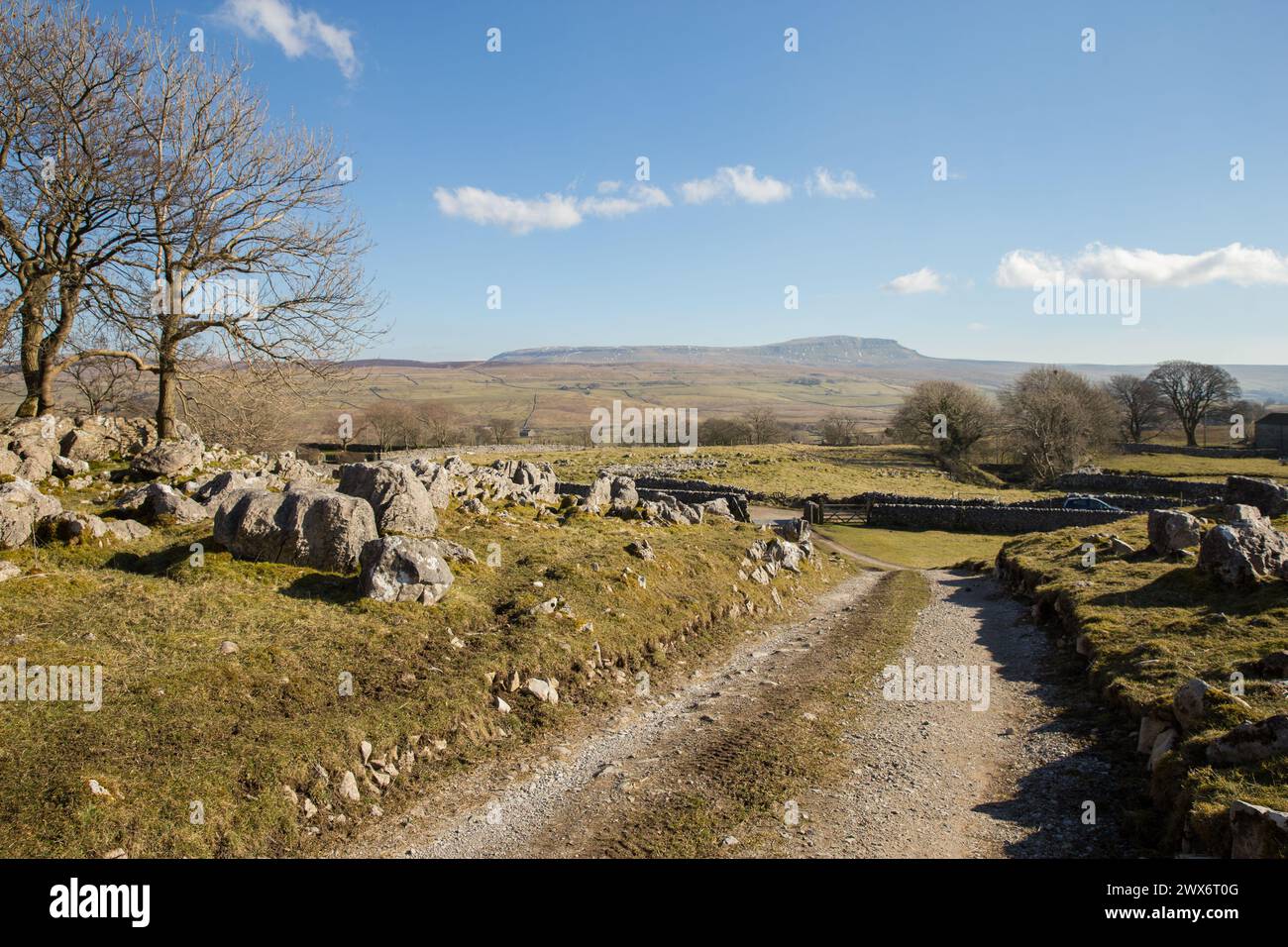A farm track in the North Yorkshire countryside lined by dry stone ...