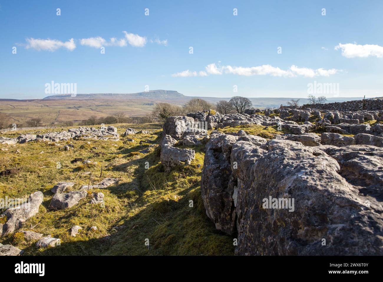 Limestone pavement in the North Yorkshire countryside, UK with Pen-y ...