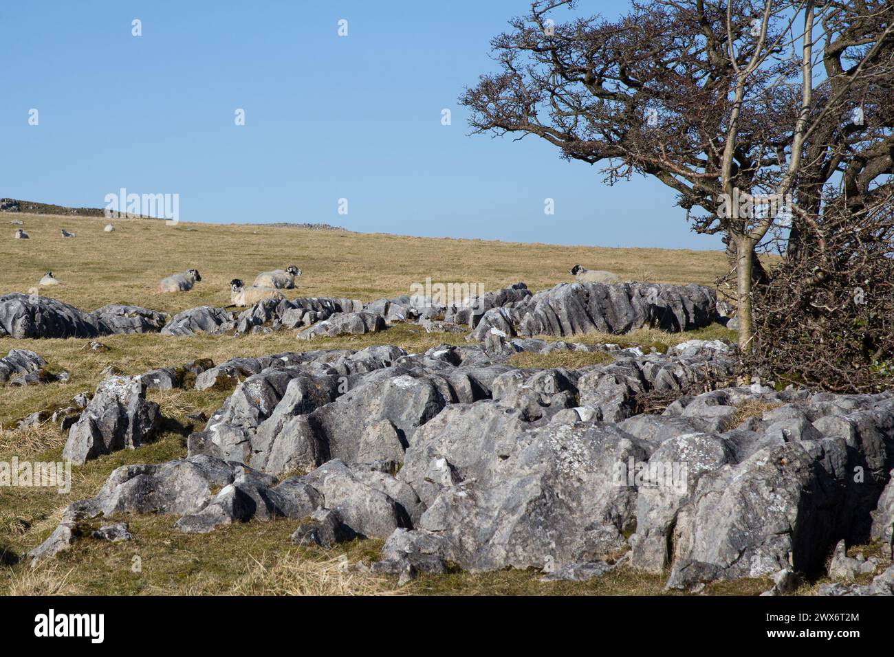 Random limestone hi-res stock photography and images - Alamy