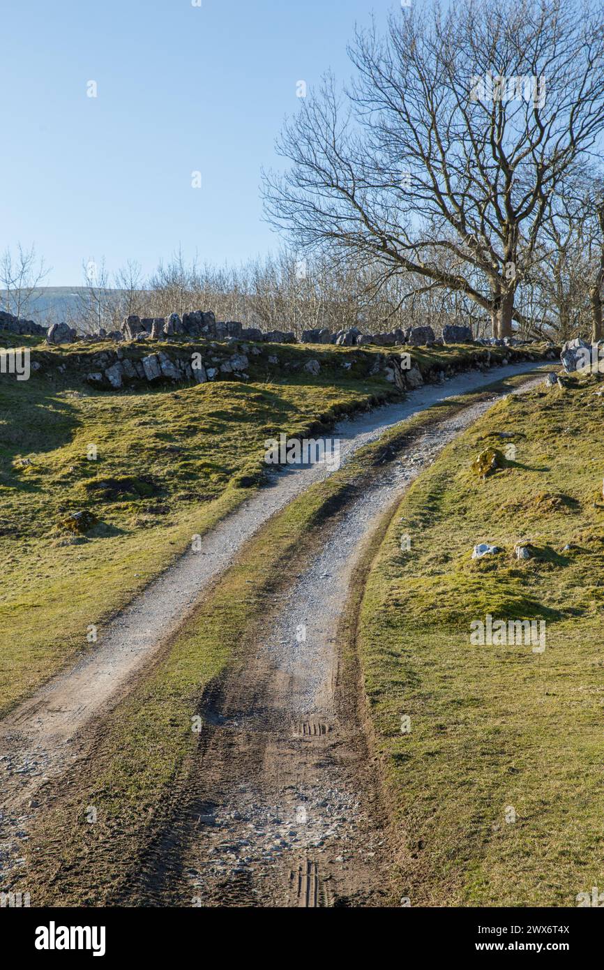 Pavement farm hi-res stock photography and images - Alamy