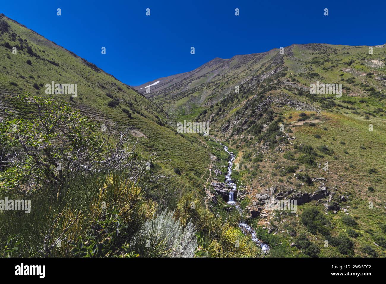 Panoramic landscape with a mountain river with cascades of waterfalls ...
