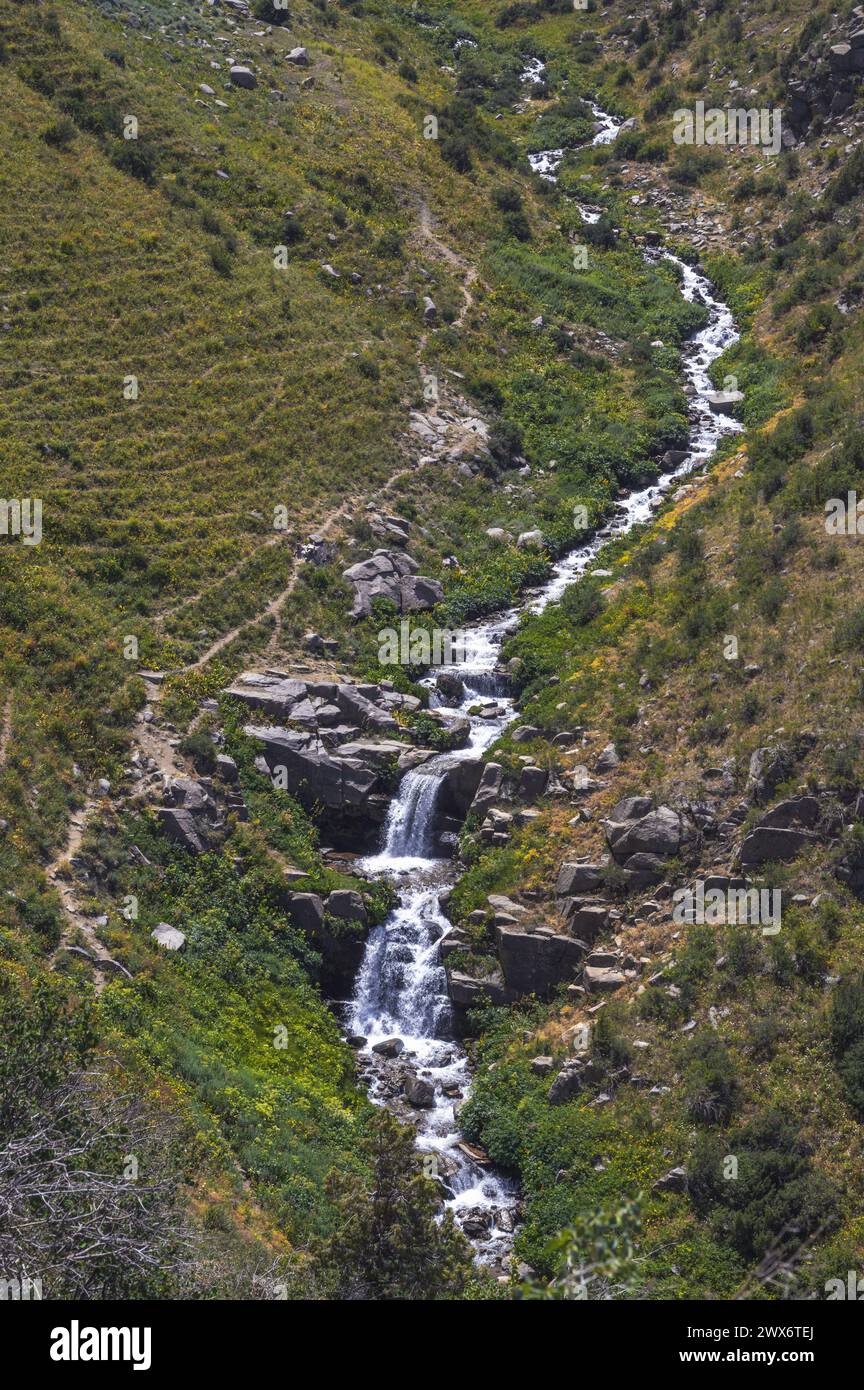 mountain river with cascades of waterfalls in a field in a gorge in ...