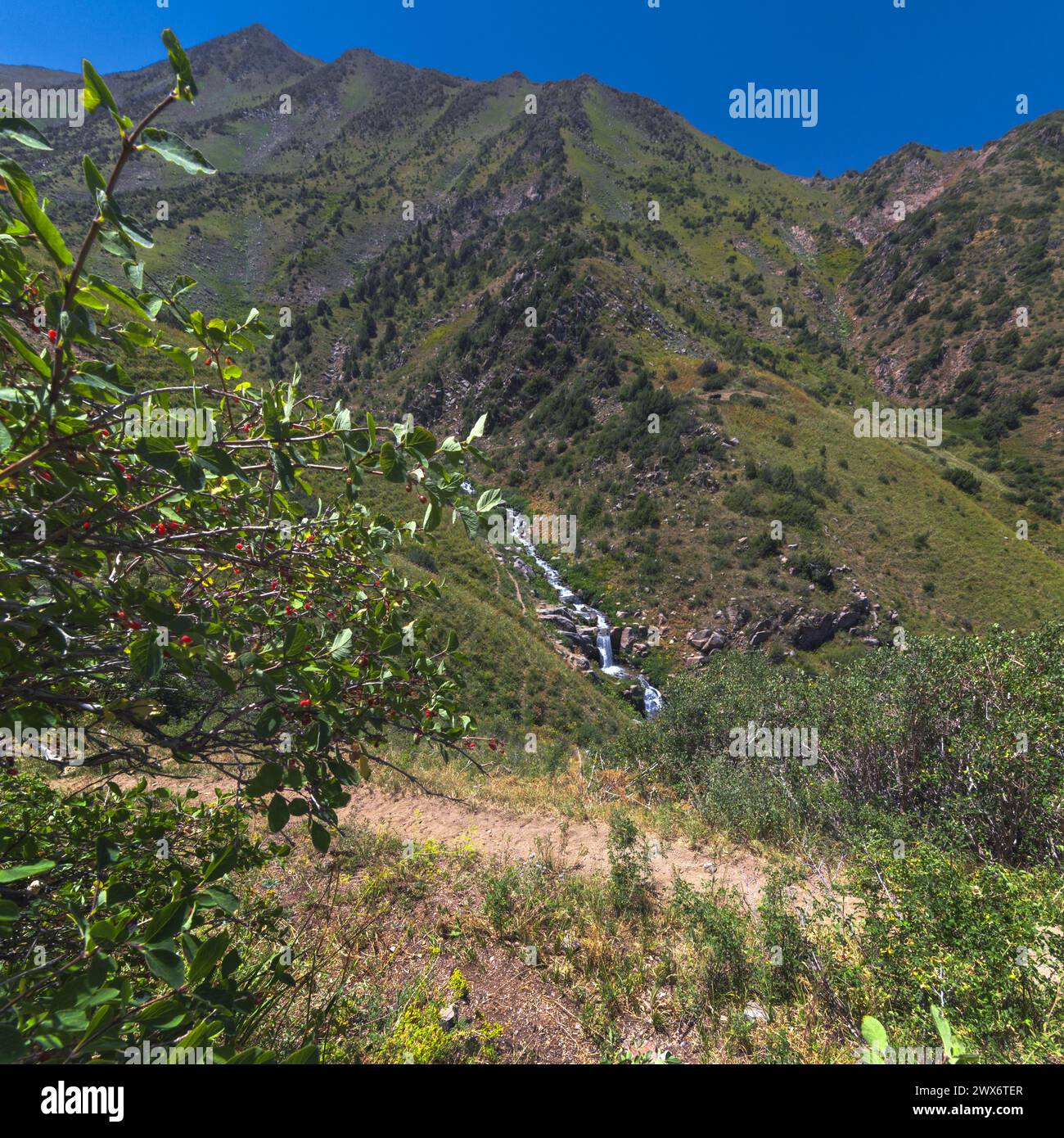 Panoramic landscape with a mountain river with cascades of waterfalls ...