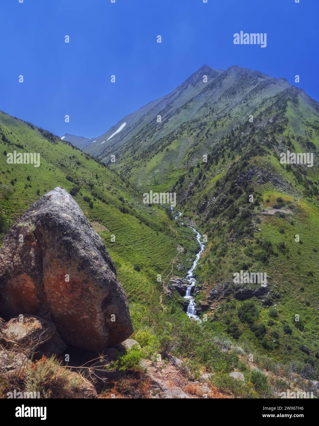 mountain river with cascades of waterfalls in a field in a gorge in ...