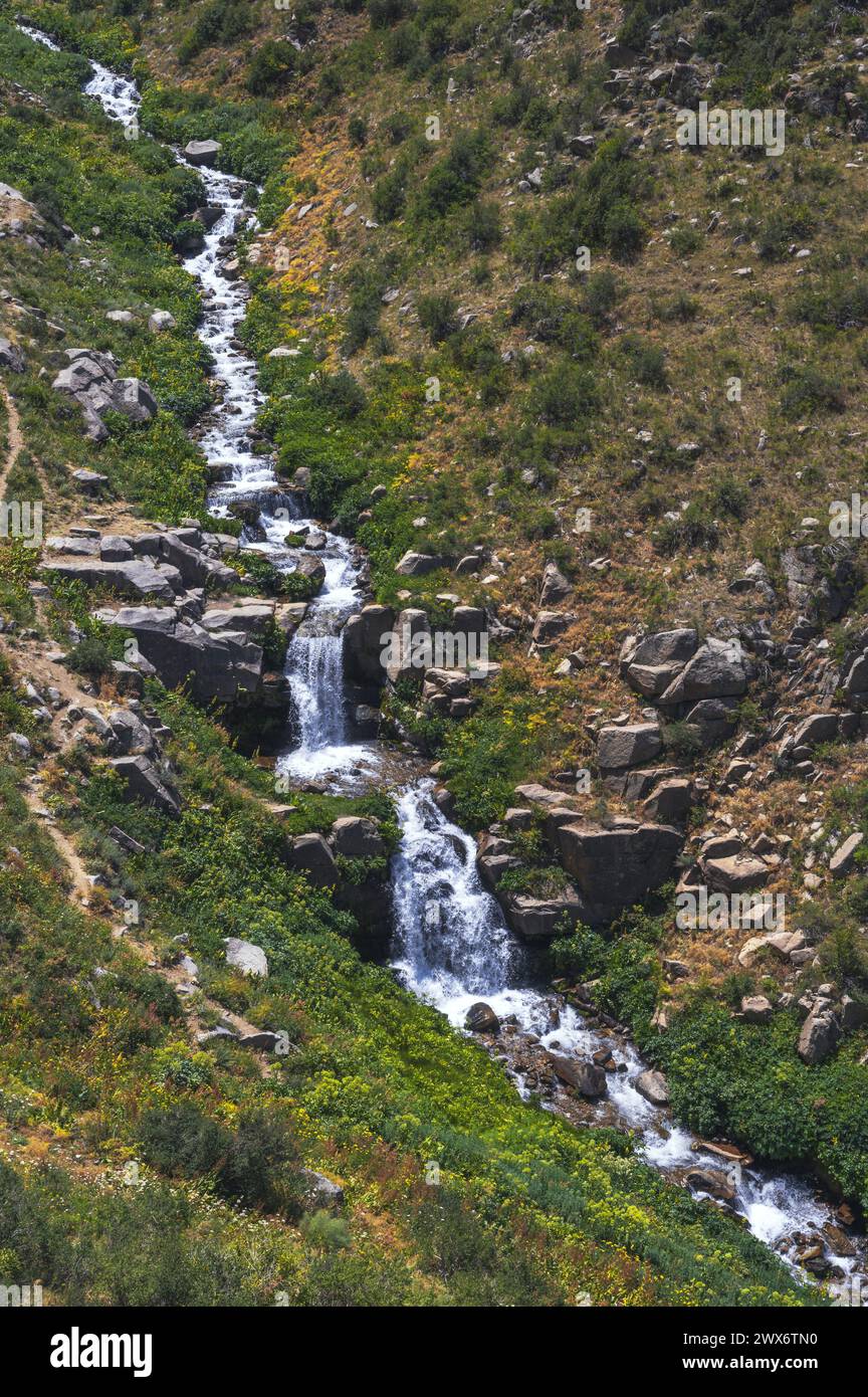 mountain river with cascades of waterfalls in a field in a gorge in ...