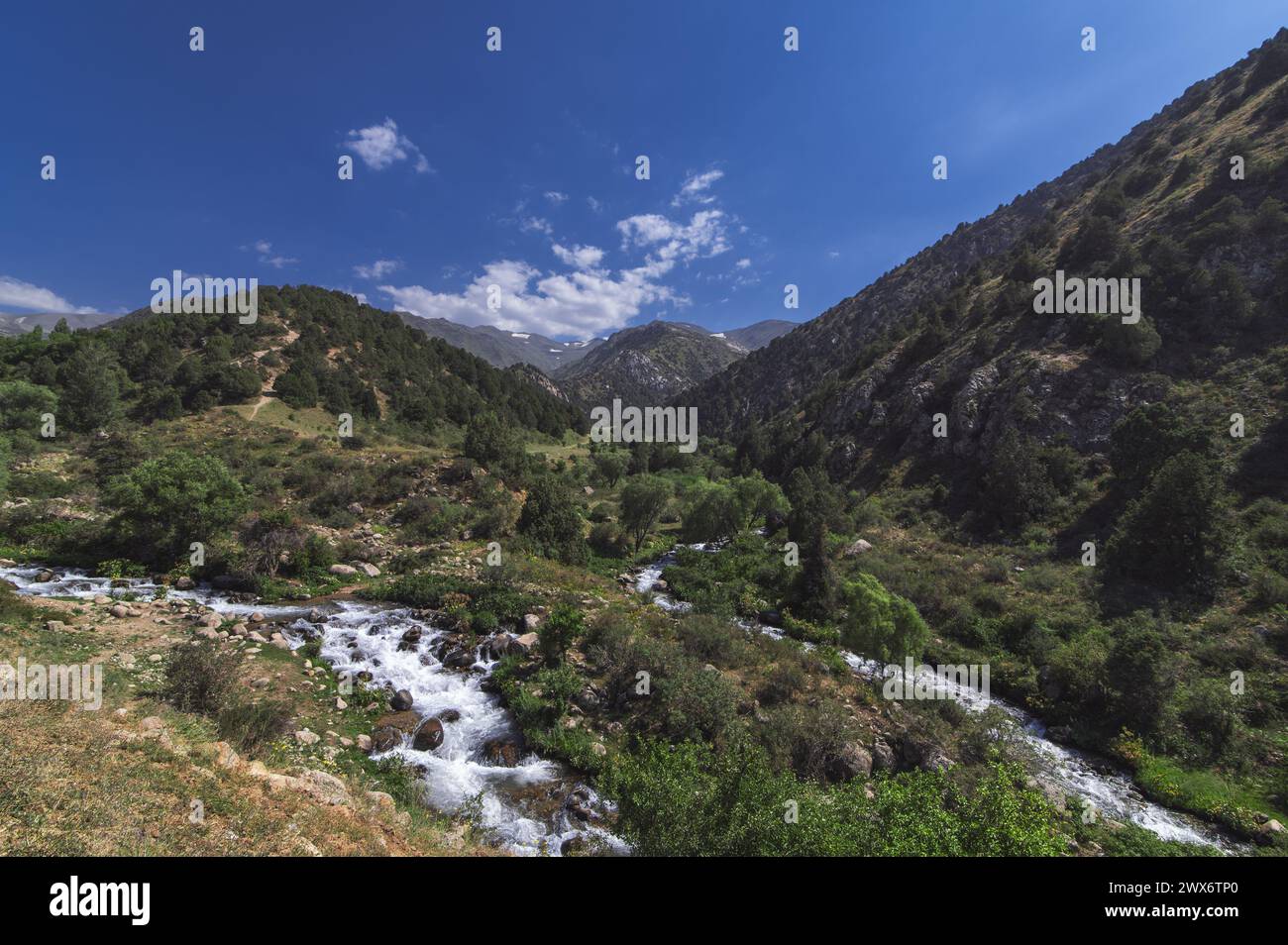 field with mountain rivers in the Tien Shan mountains in Kazakhstan in ...