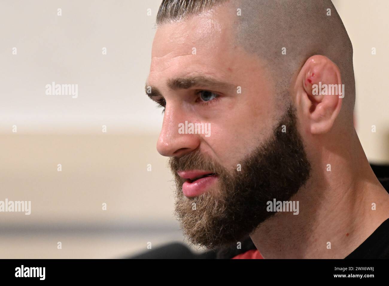 Brno, Czech Republic. 28th Mar, 2024. Czech MMA fighter Jiri Prochazka ...
