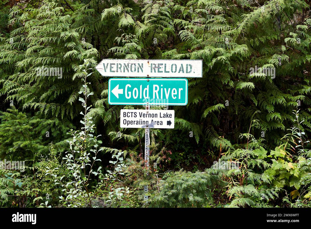 A directional sign surrounded by dense trees indicating the way to Gold ...