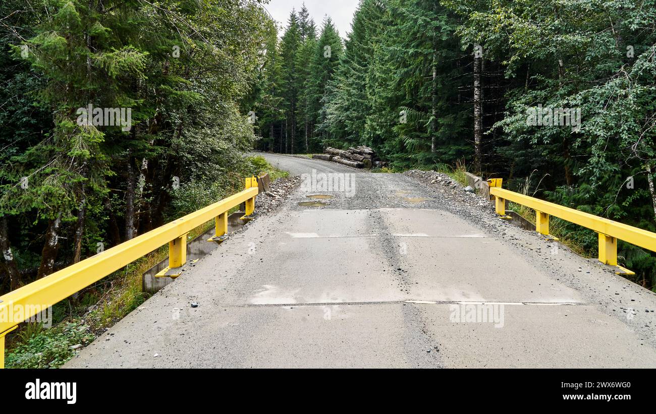 A single lane logging road bridge with yellow railings going into the ...