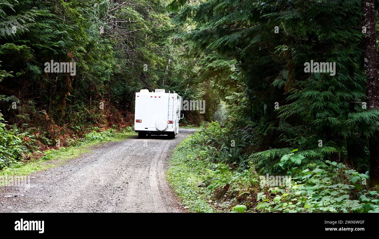 A motorhome traveling down a gravel road surrounded by huge trees Stock ...