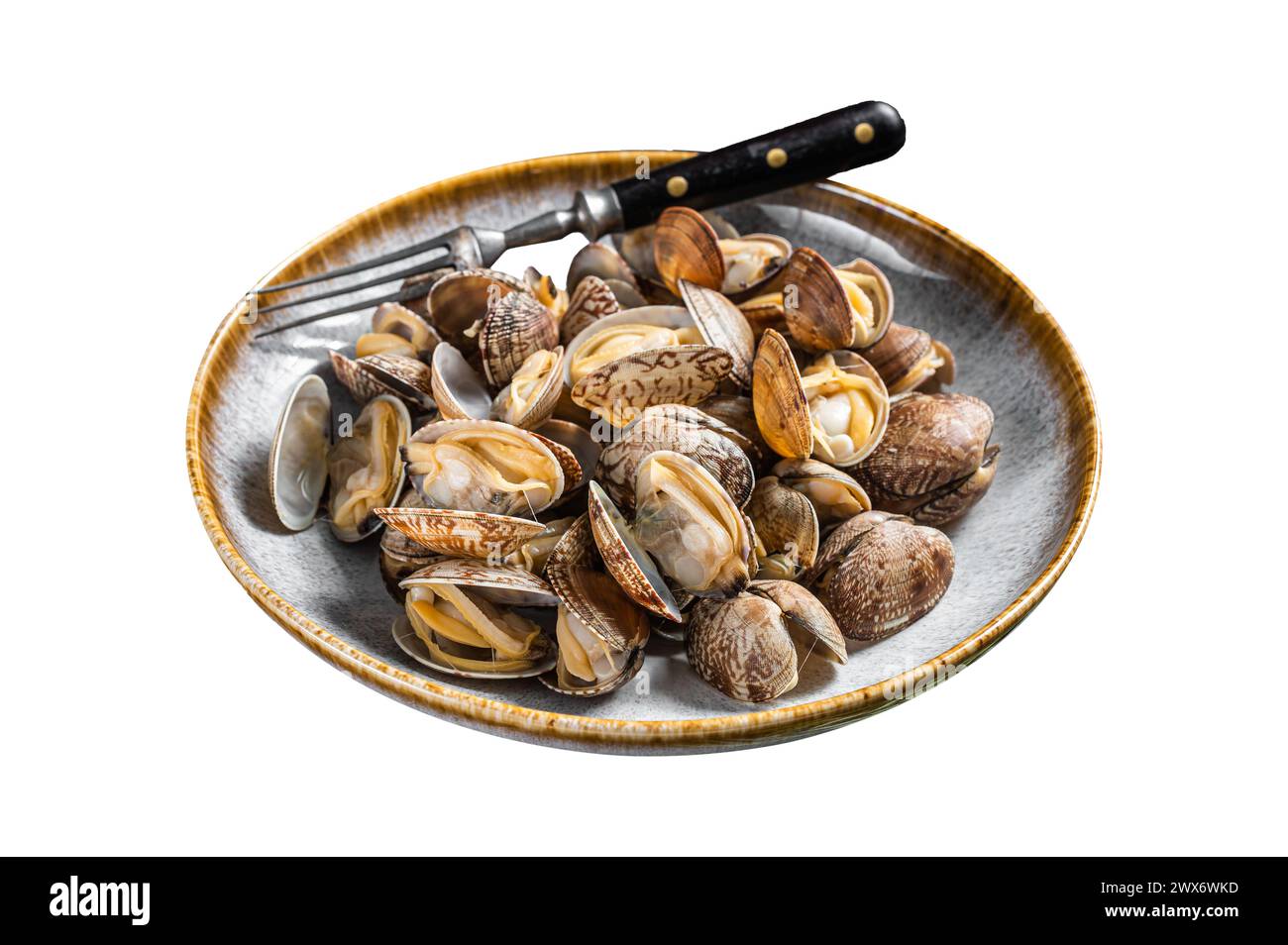 Steamed cooked shells Clams vongole in a plate with herbs. Isolated on ...