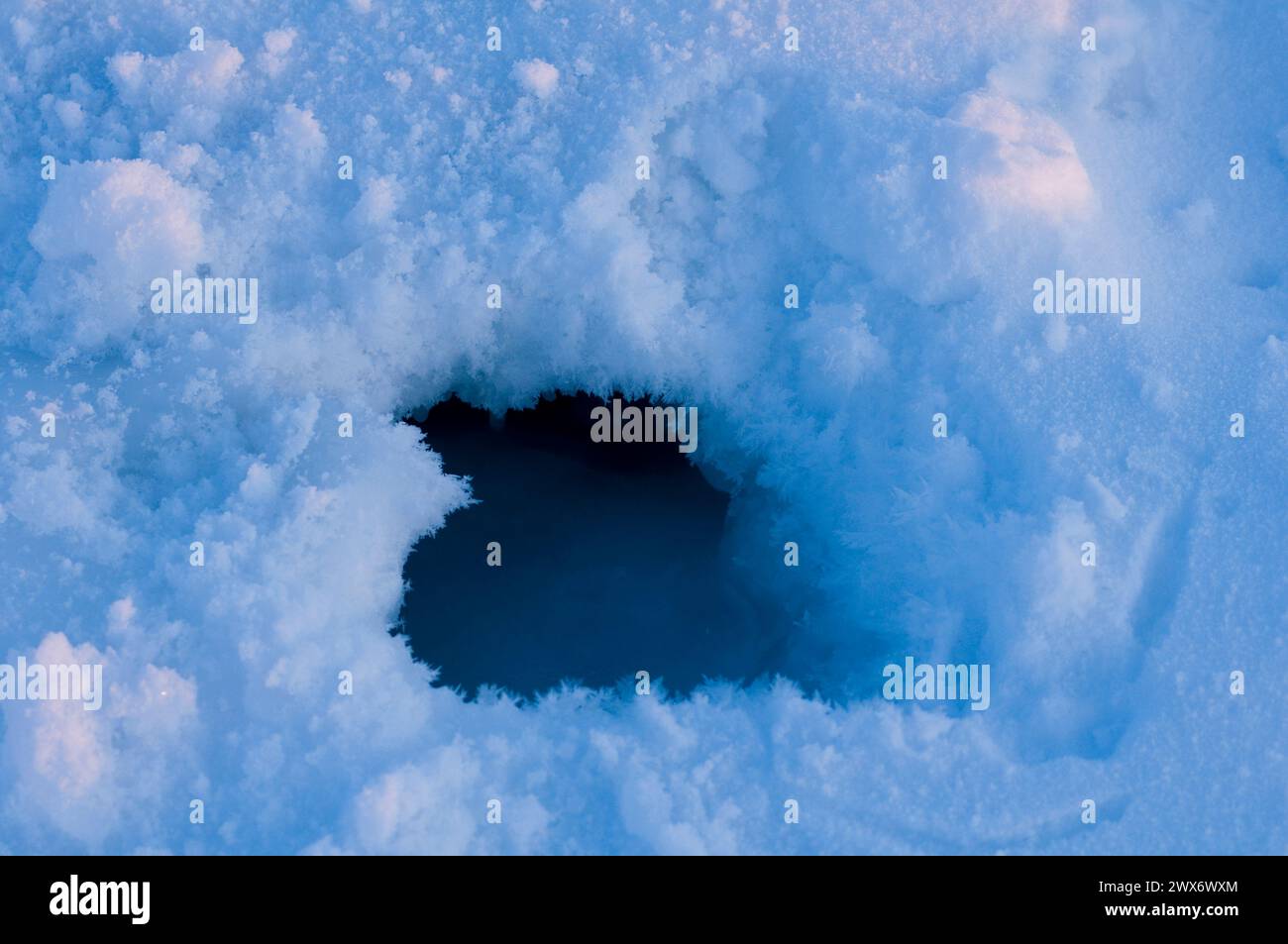 seal hole on the frozen Chukchi Sea off shore from Point Barrow Arctic ...