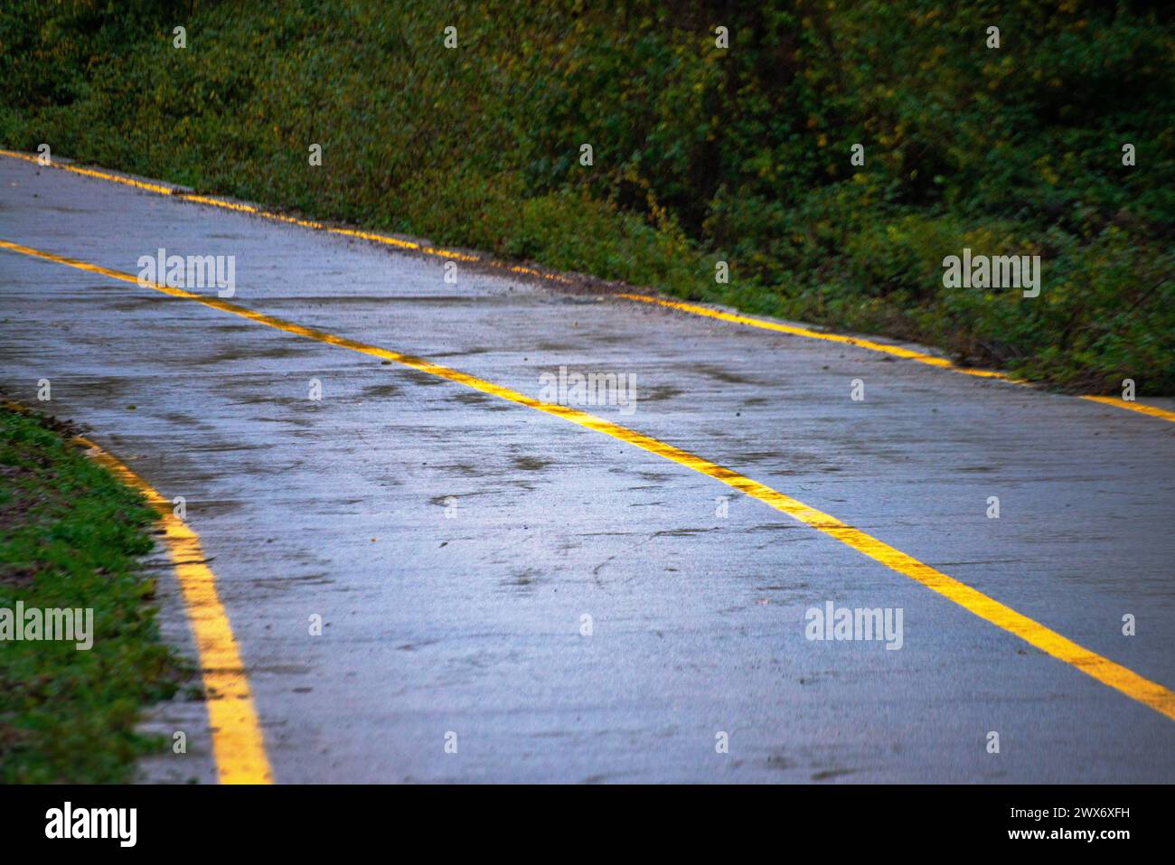 Profiletextureview hi-res stock photography and images - Alamy