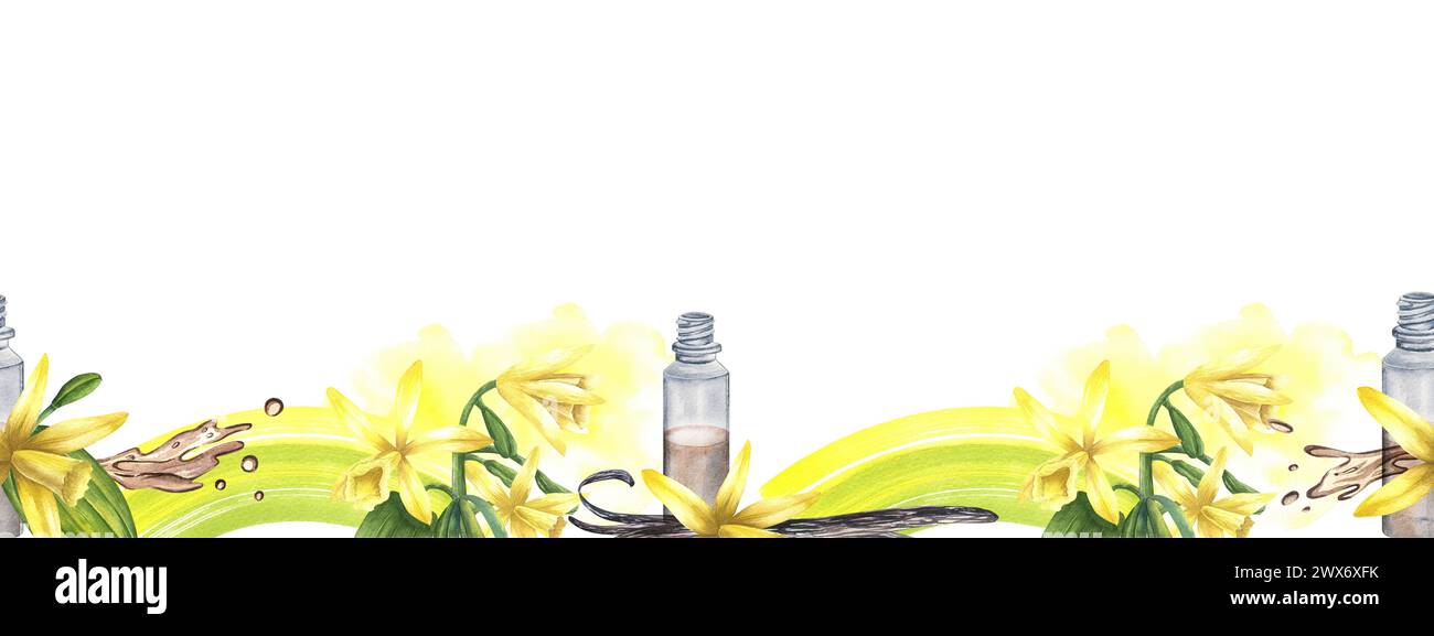 Seamless border Vanilla Flowers and Essential oil. Hand drawn floral ...