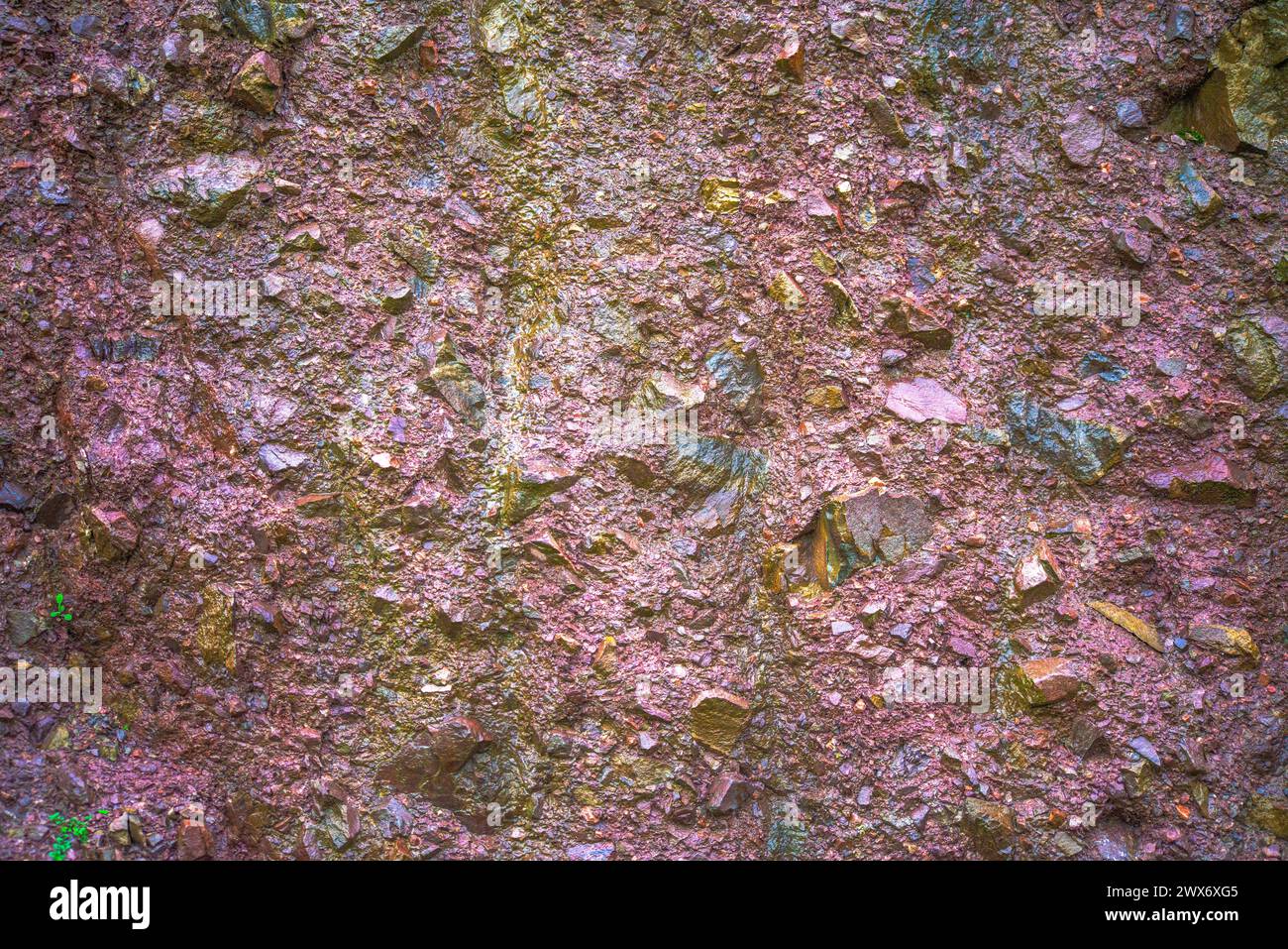 A rich and earthy canvas, the muddy surface background captures the ...
