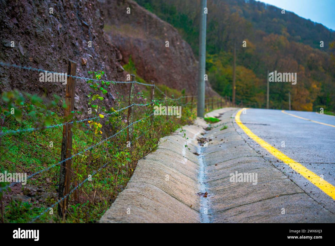 Profiletextureview hi-res stock photography and images - Alamy