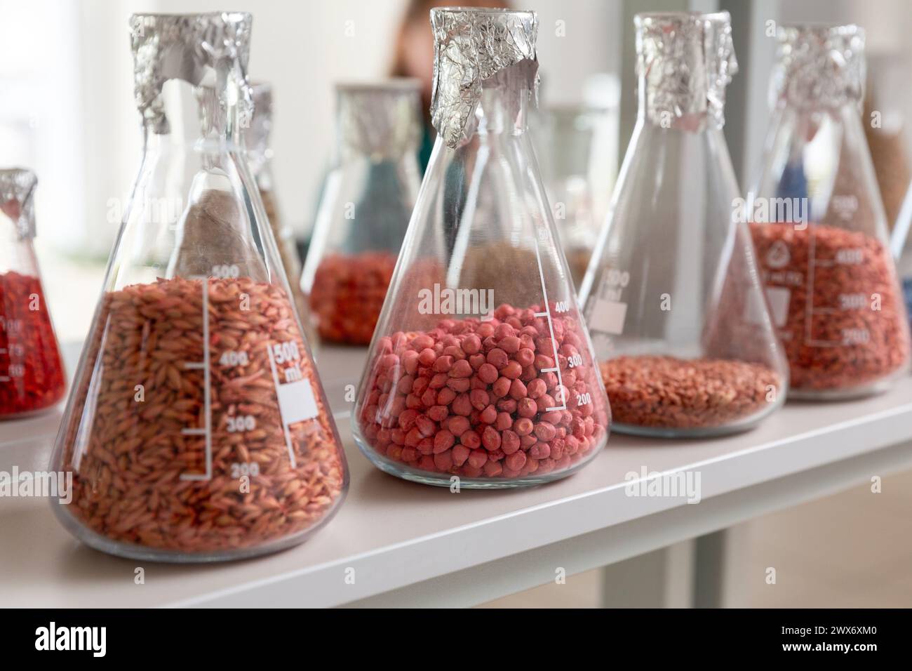 What Is Glass Grain Test at Sam Vanthoff blog