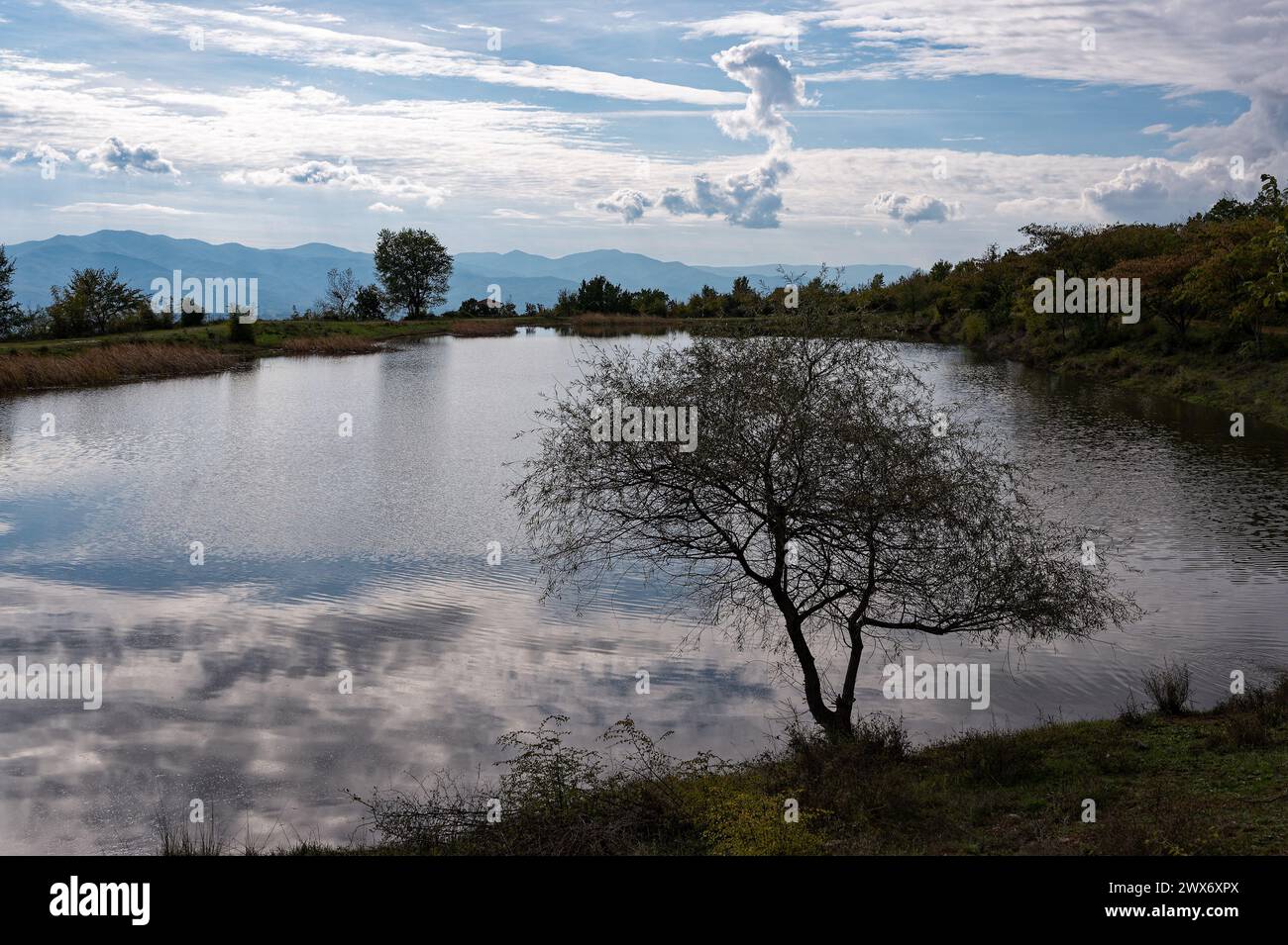 View of the pond dedicated to Agios Prodromos, near the Kerkini lake in ...