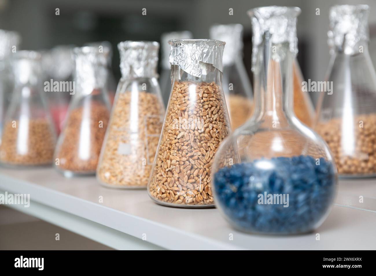 What Is Glass Grain Test at Sam Vanthoff blog