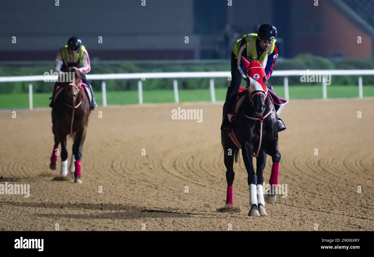 Forever young horse hi-res stock photography and images - Alamy