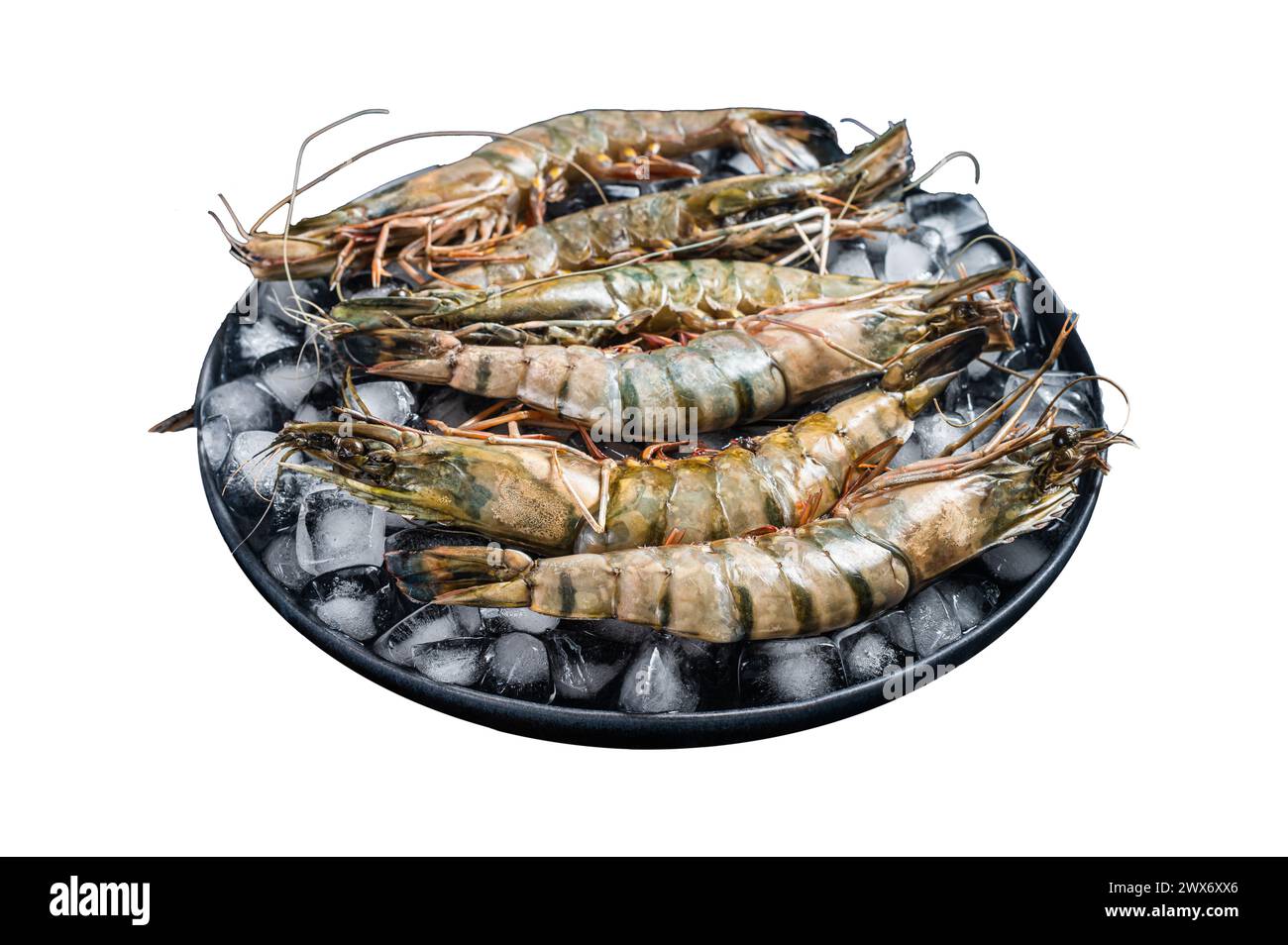 Tiger Prawns Vs King Prawns