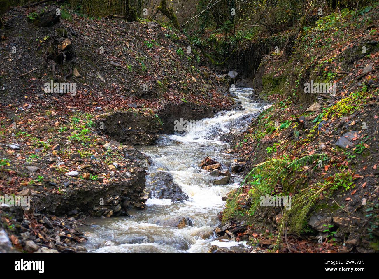 Rain freshened hi-res stock photography and images - Alamy