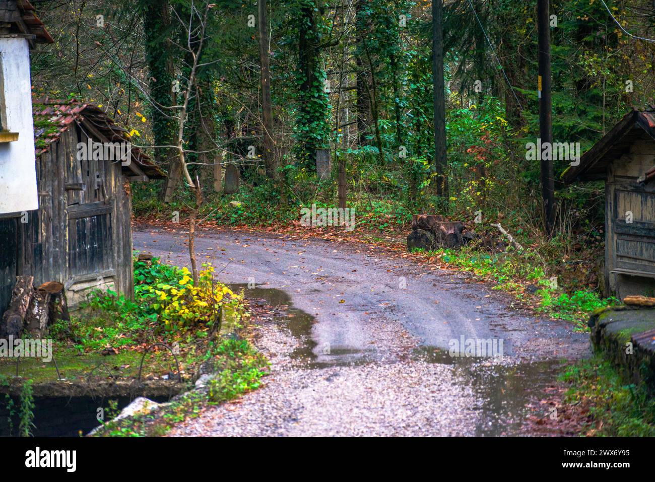 A charming village road winds past a tiny house, creating a picturesque ...