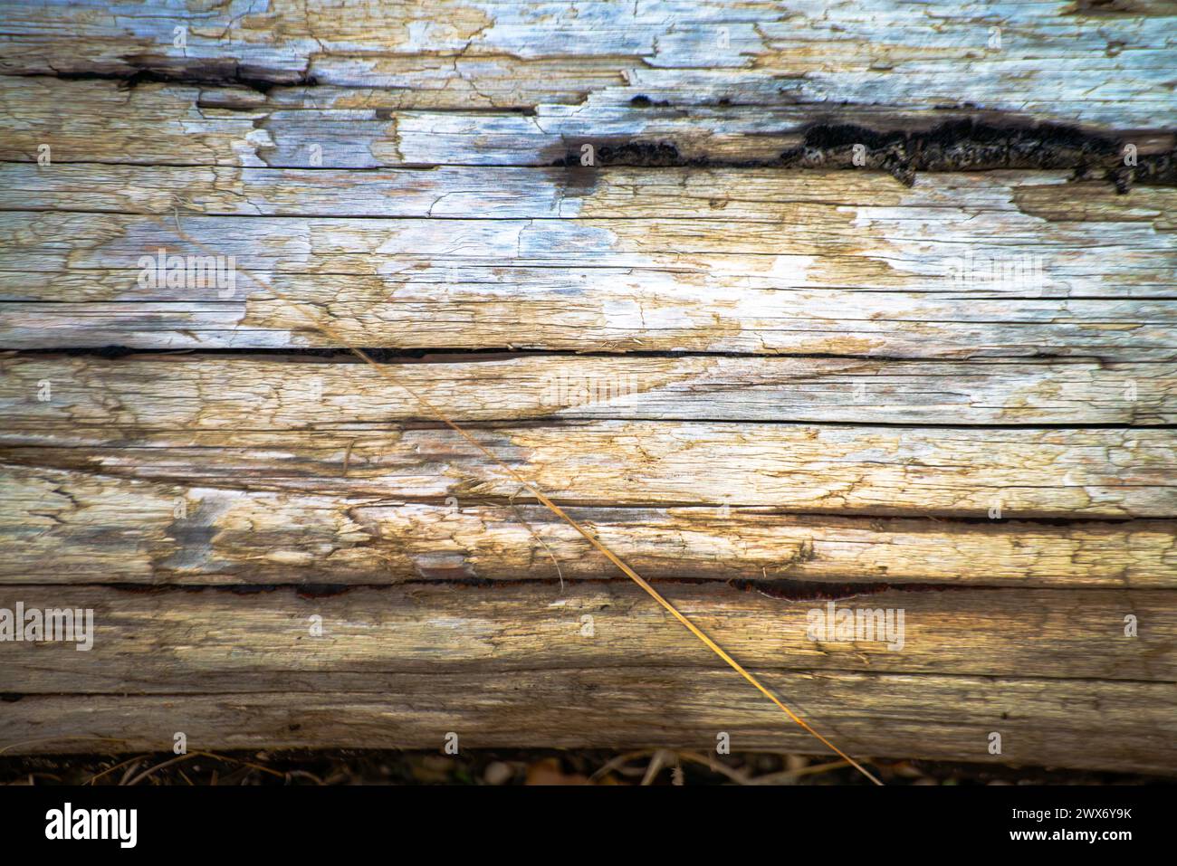 Vintage surface texture hi-res stock photography and images - Alamy