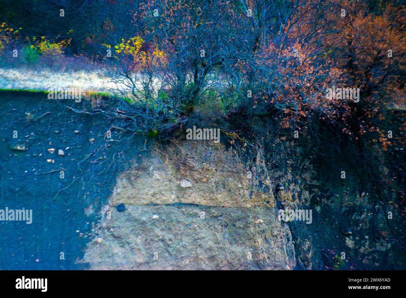 Soil connected trees hi-res stock photography and images - Alamy