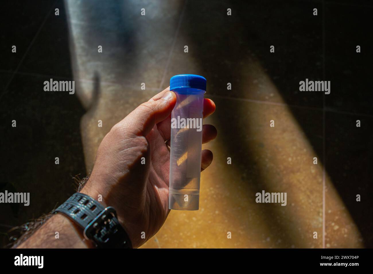 A photo of holding Falcon tube in a sunny lab depicts scientific ...