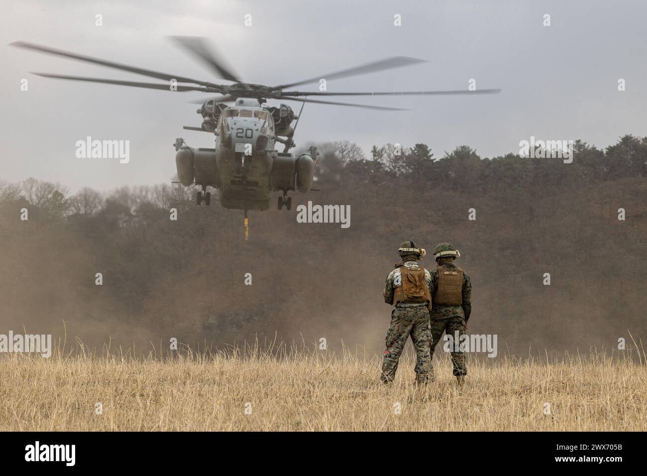U.S. Marines with 3rd Landing Support Battalion, 3rd Marine Logistics ...