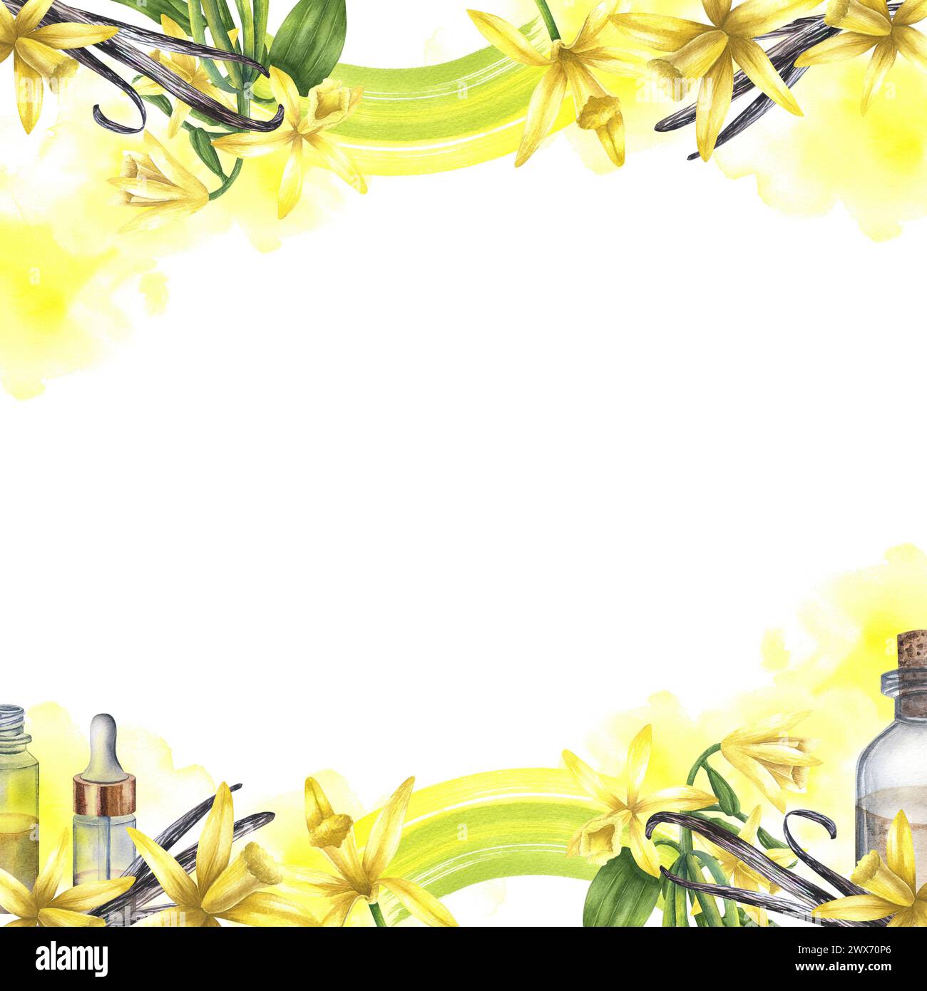 Frame Vanilla flowers with essential oil. Hand drawn floral watercolor ...
