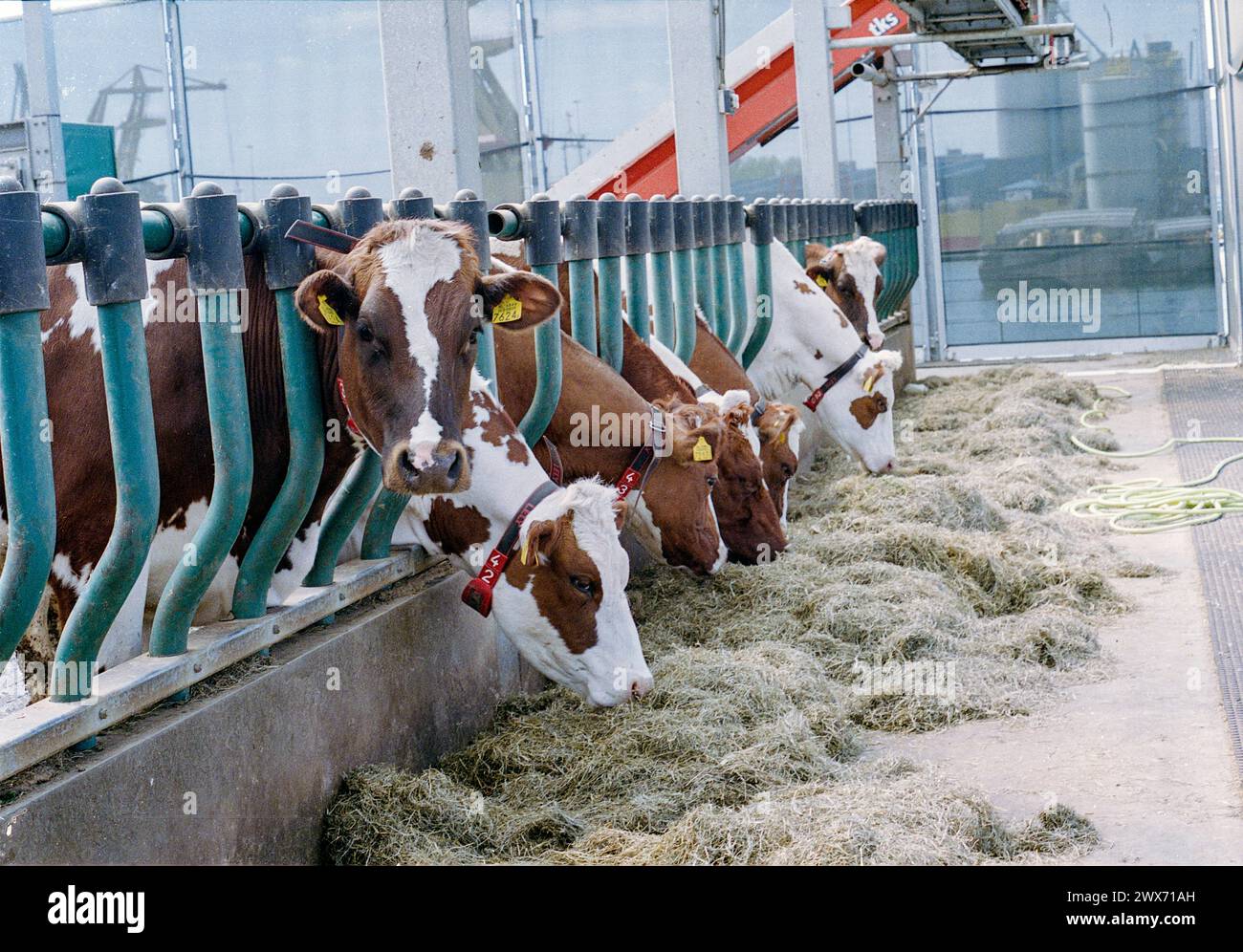 Floating Farm Merwehaven Rotterdam, Netherlands. The innovative ...