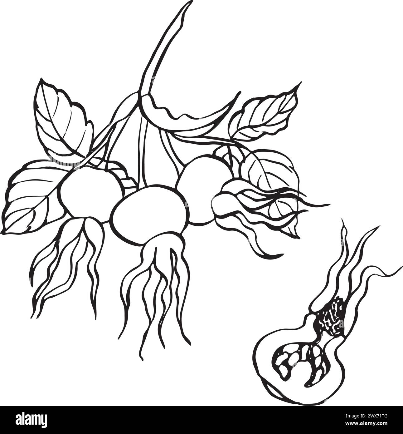 Ink colors Black and White Stock Photos & Images - Alamy