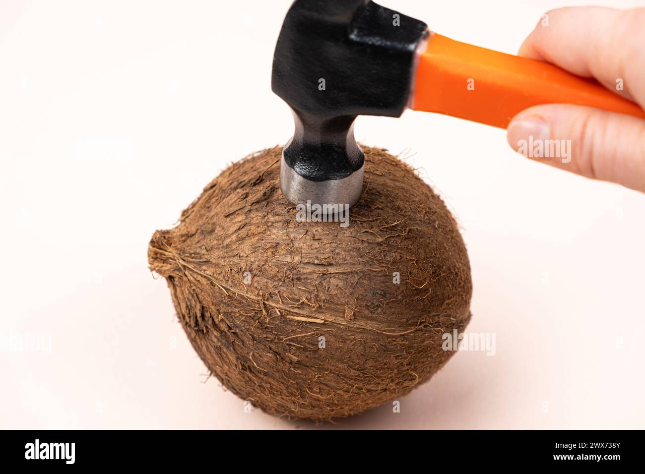 The process of breaking a coconut with a hammer. Ways to open a coconut ...
