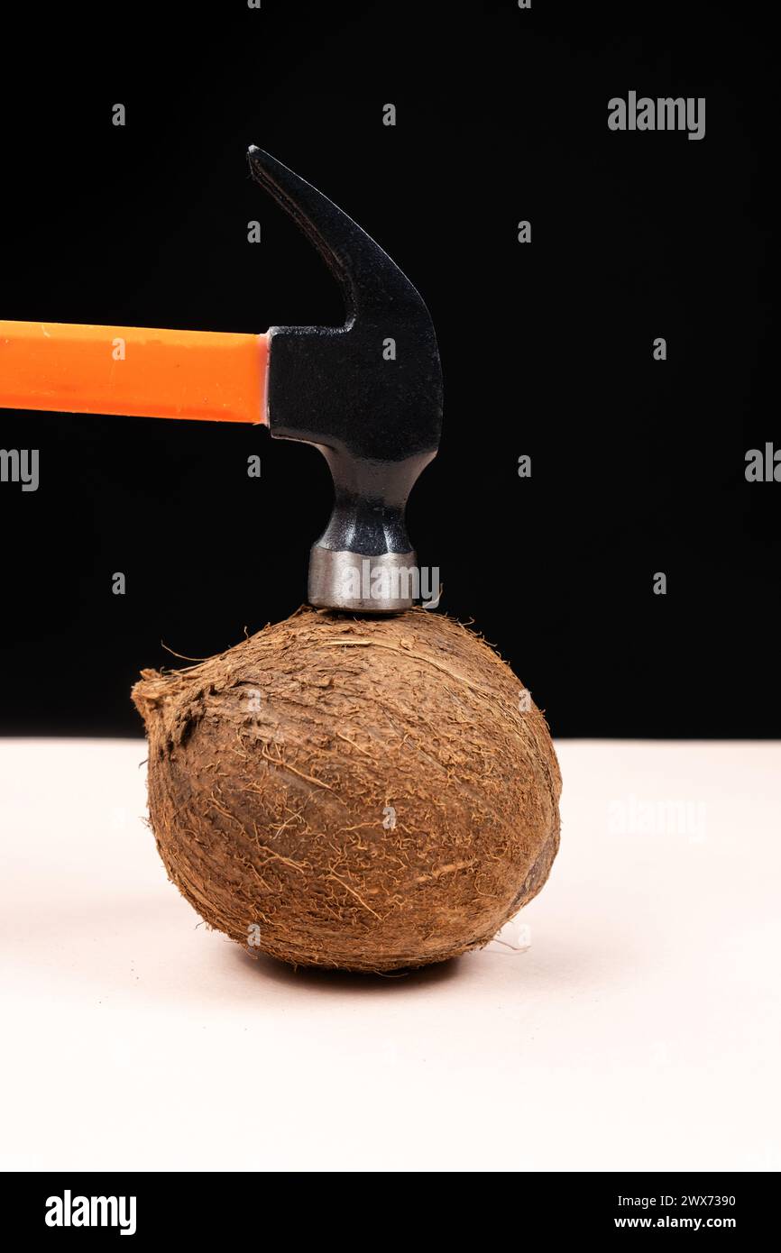 The process of breaking a coconut with a hammer. Ways to open a coconut ...