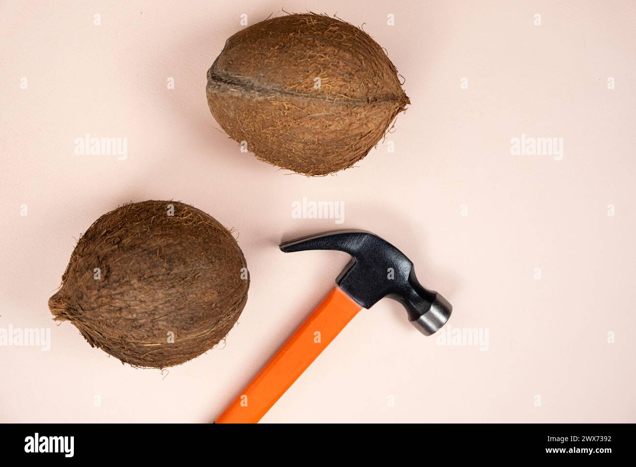 The process of breaking a coconut with a hammer. Ways to open a coconut ...