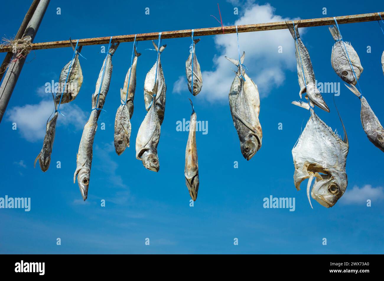 Dried fish hanging on market hi-res stock photography and images - Alamy