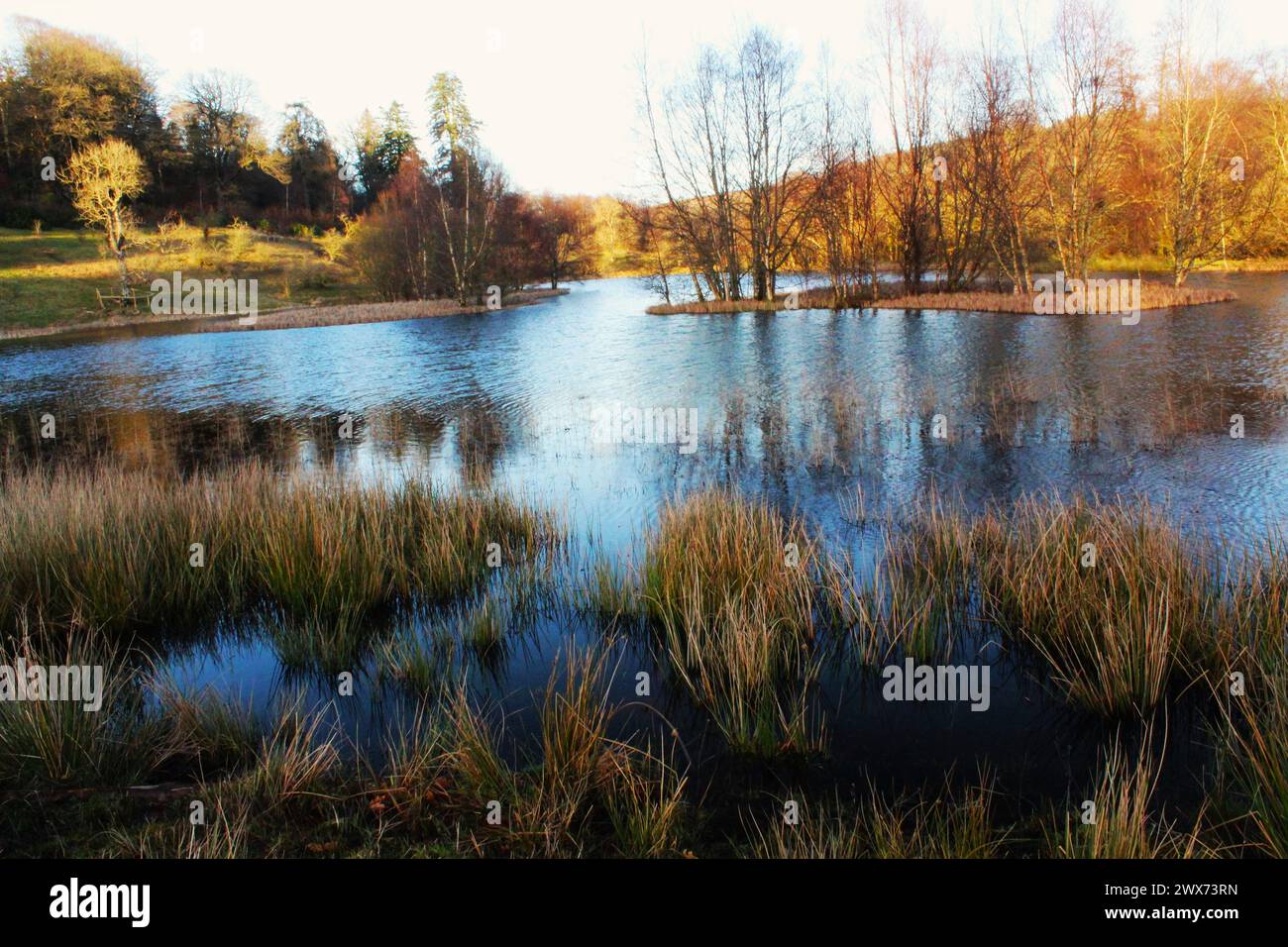 Craigengillan scotland hi-res stock photography and images - Alamy