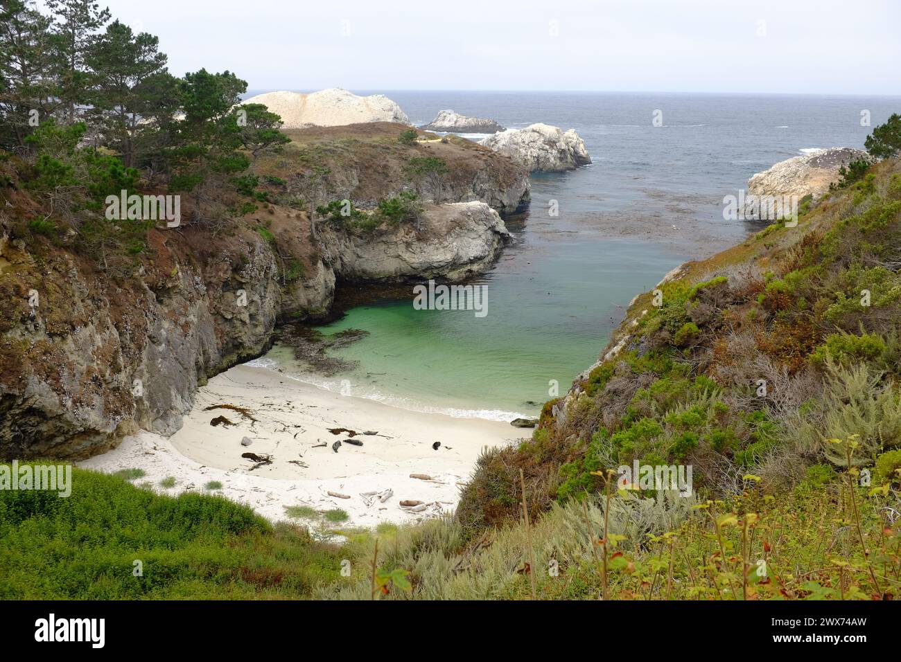 Point Lobos and Sea Lion Point State Nature Reserve in California near ...