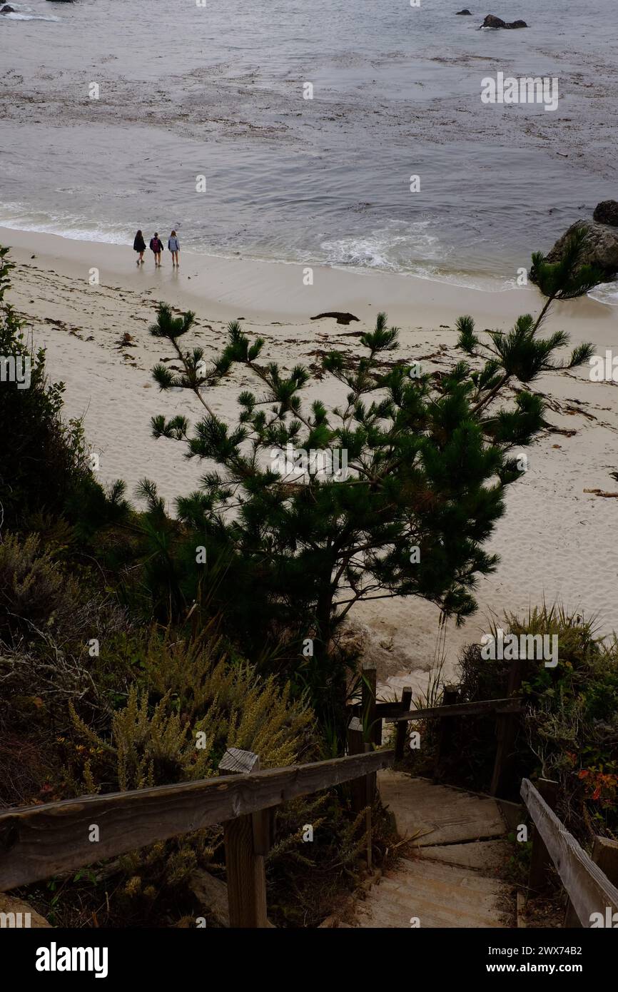 Point Lobos and Sea Lion Point State Nature Reserve in California near ...