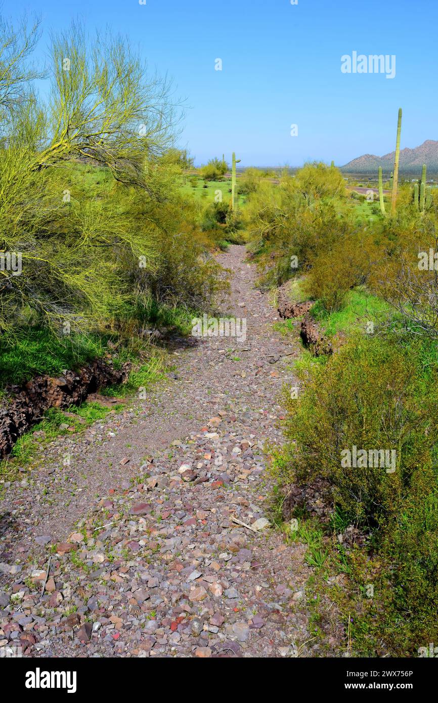 Arizona arroyo dry stream bed that provides a temporary drainage ...