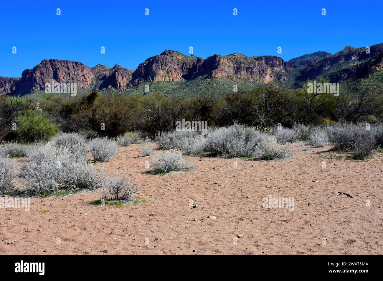 Salt River Arizona recreation area, Desert Mountains, east of Phoenix ...