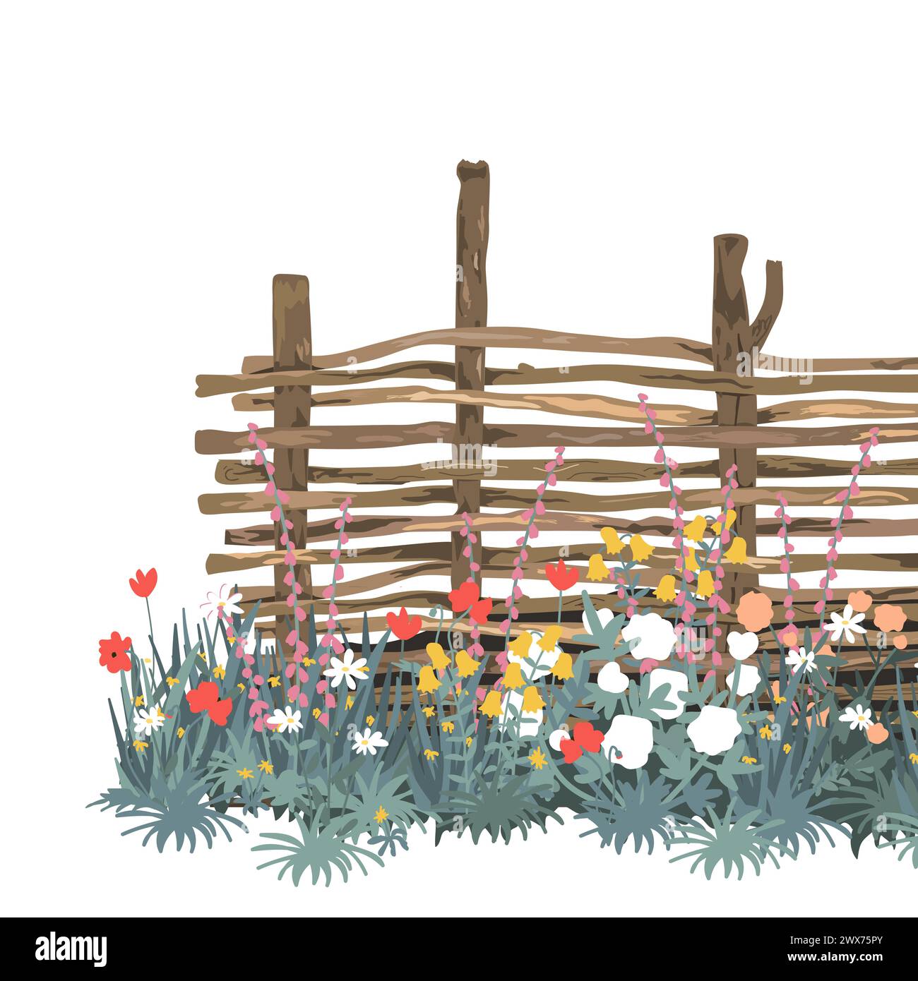 Flowers and wicker fence made of flexible willow or hazel wood, vector ...