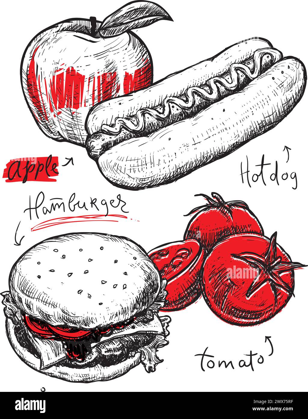 Vintage fast food poster. Hand drawn illustration. Hamburger, tomatoes ...