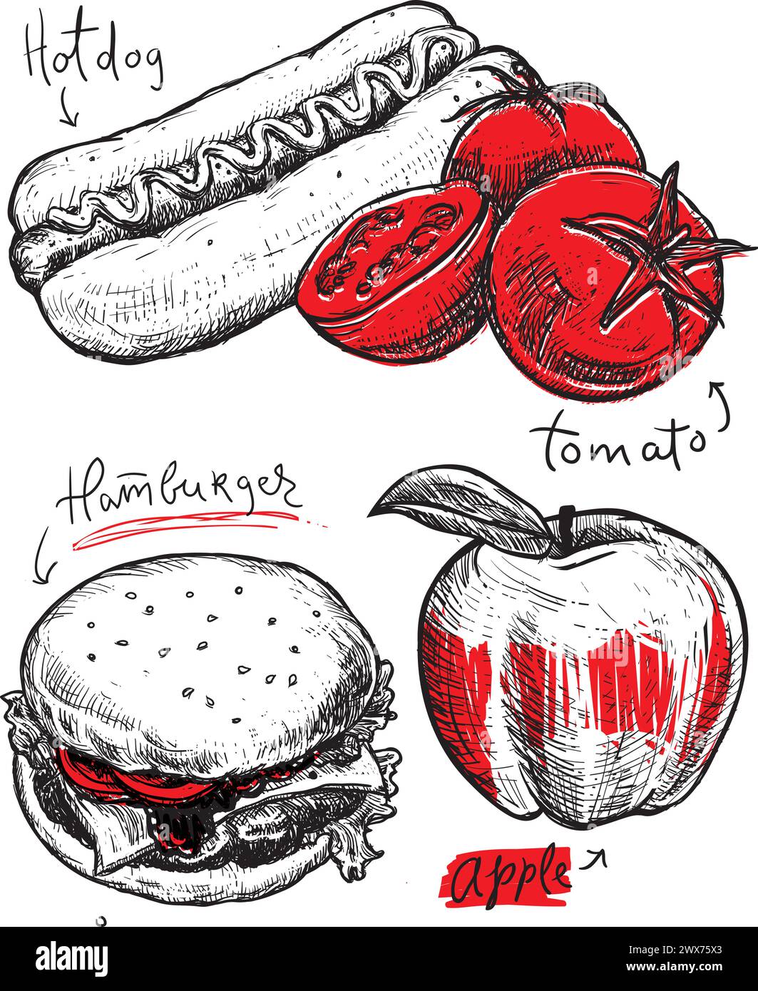 Vintage fast food poster. Hand drawn illustration. Hamburger, tomatoes ...