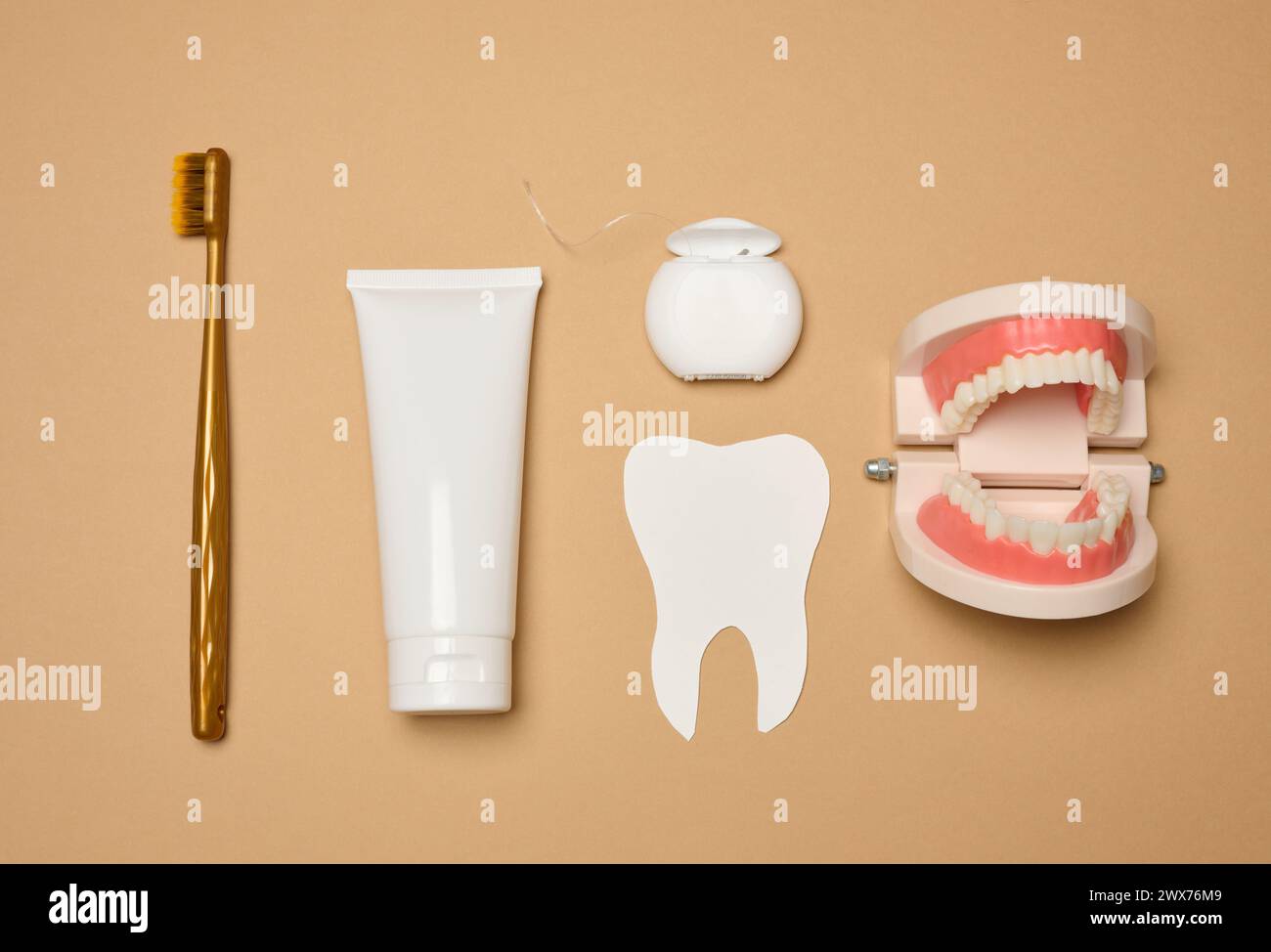 Model of a human jaw with white teeth, dental floss and toothpaste on a ...