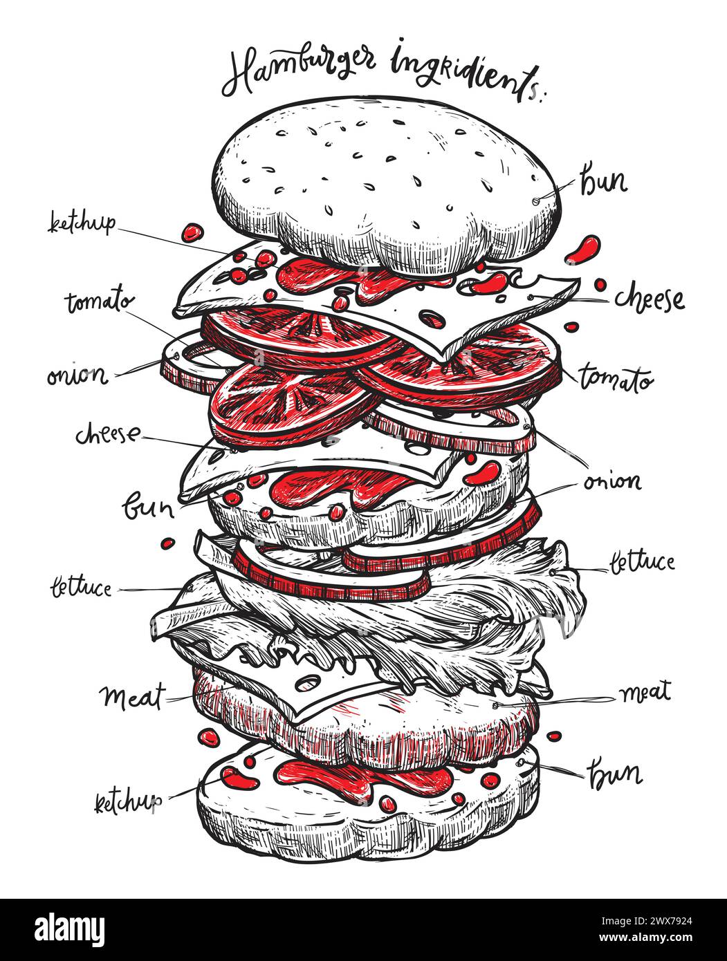 Hamburger ingredients with meat, cheese, tomato, salad, bun, ketchup ...