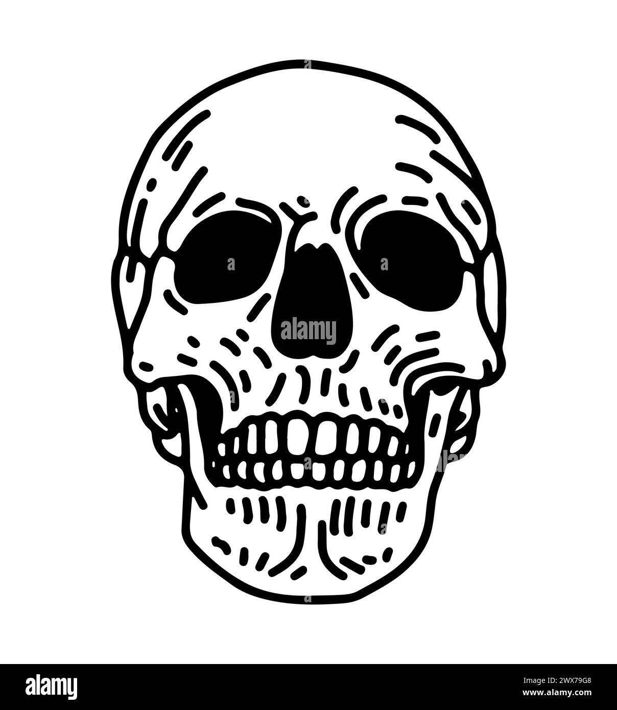 Vector human skull with a lower jaw in vintage engraving style. Hand ...