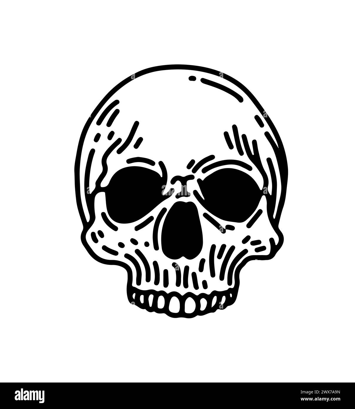 Vector human skull with a lower jaw in vintage engraving style. Hand ...